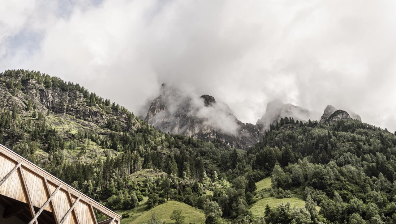 The 5 star Feuerstein family hotel in the alps: philosophy and hosts